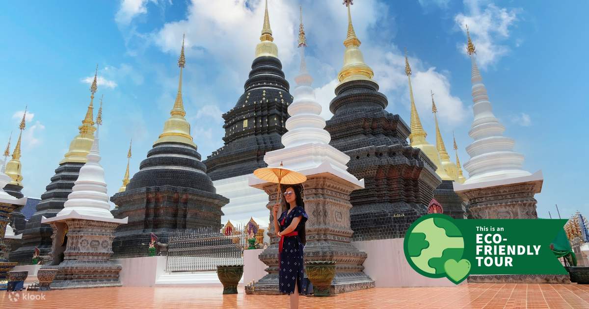 Chiang Mai Elephant Sanctuary and Sticky Waterfall Tour – Full Day - Klook